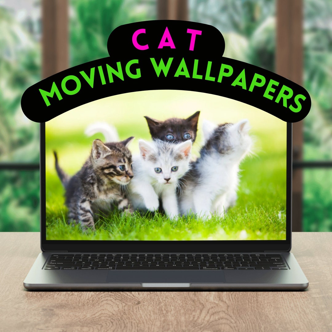 Moving Cat Wallpapers Cat Wallpapers Moving Wallpapers Cute Cats ...