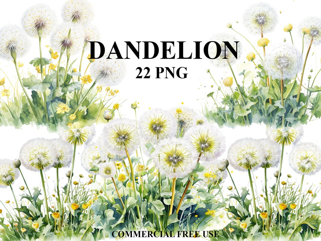 Wild Dandelion Clipart - Floral Watercolor Borders - Premade Clipart ...