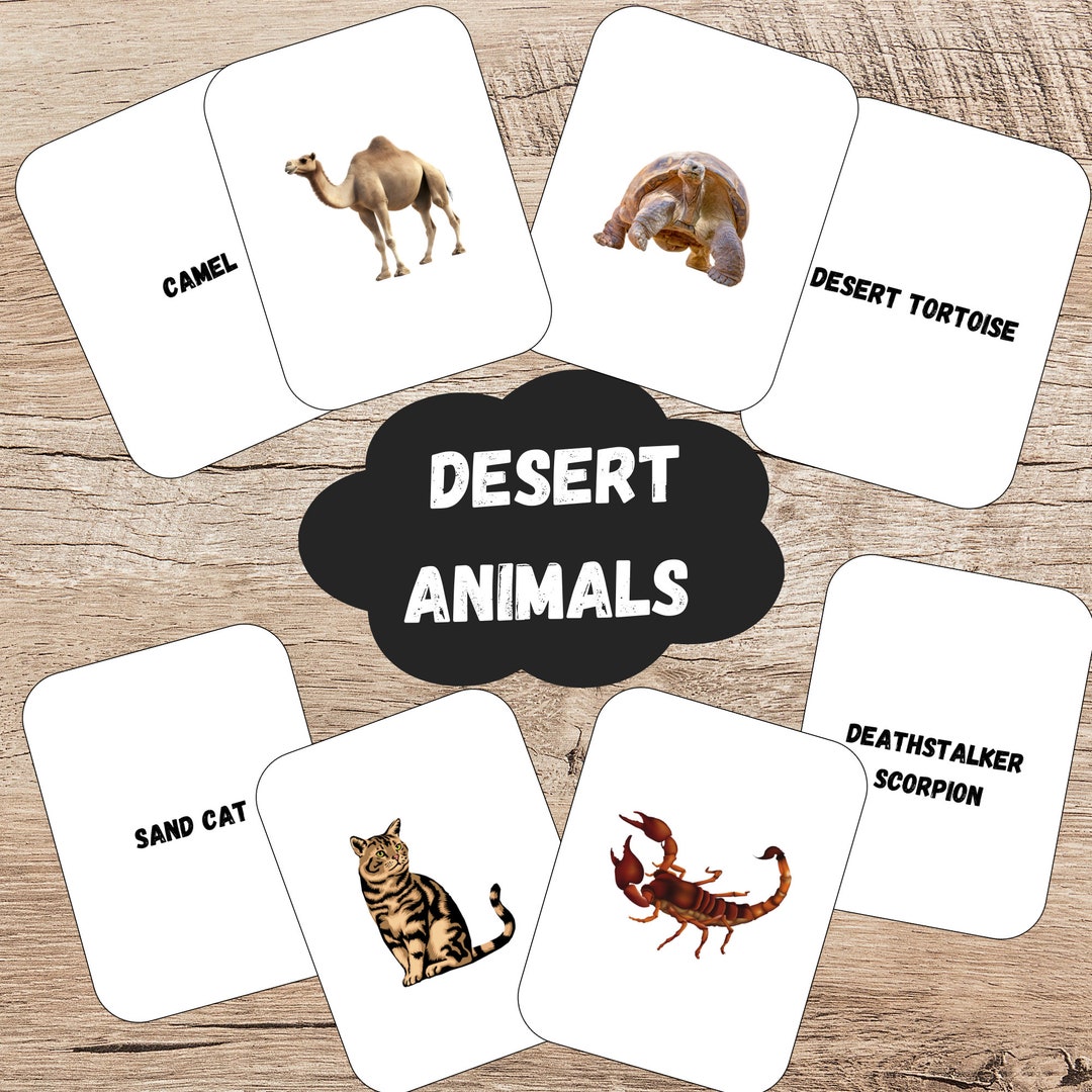 Desert Animals | Double-sided Cards | Instant Download | for ...