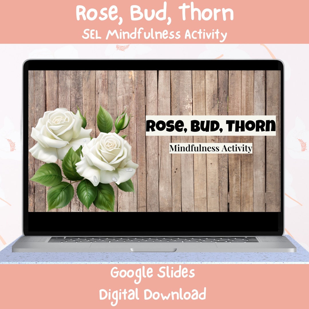 Rose Bud Thorn Mindfulness Activity for Google Slides SEL - Etsy