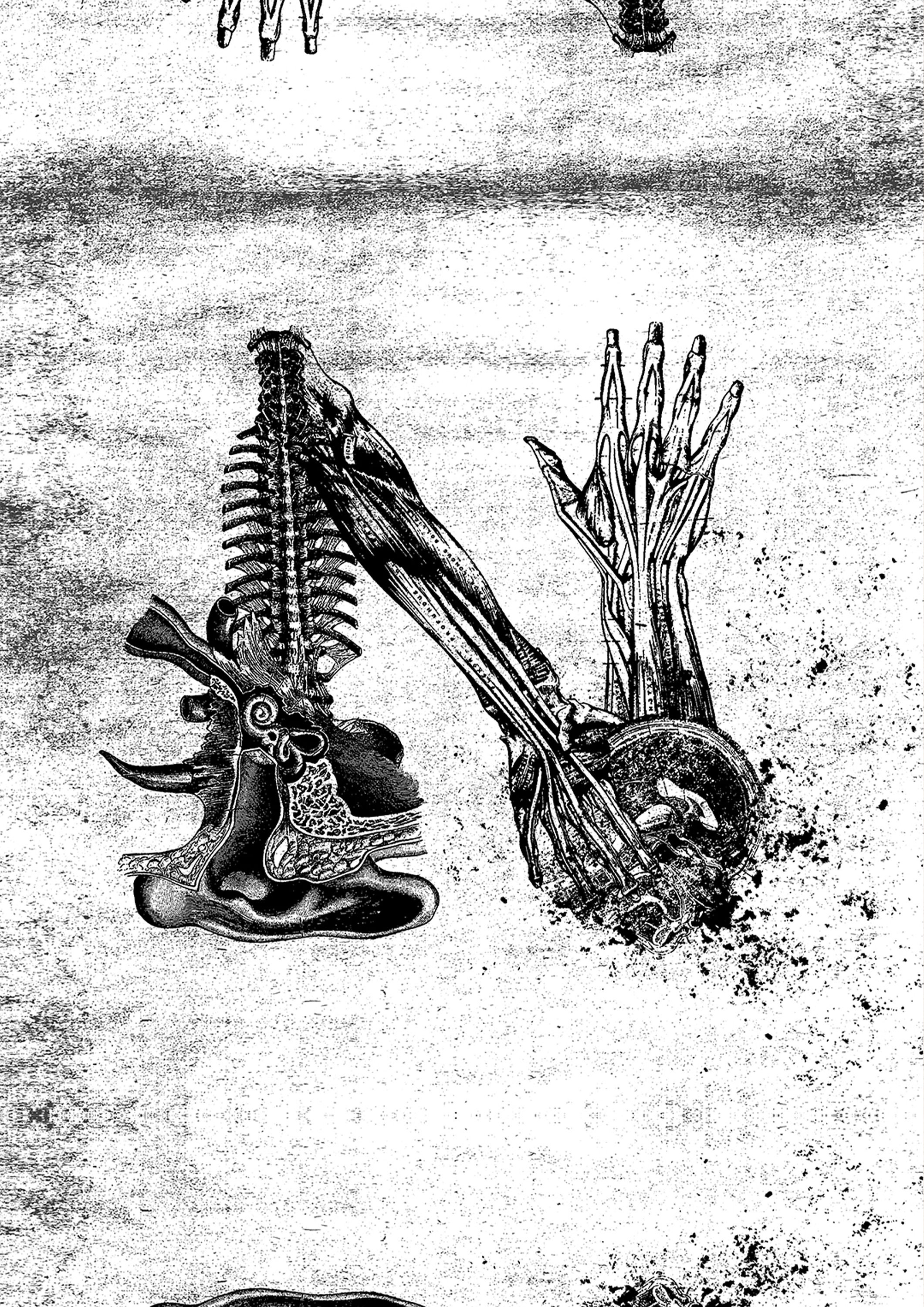 36 Days of Type, Printable Download, Letters, Numbers, Collage, Digital ...