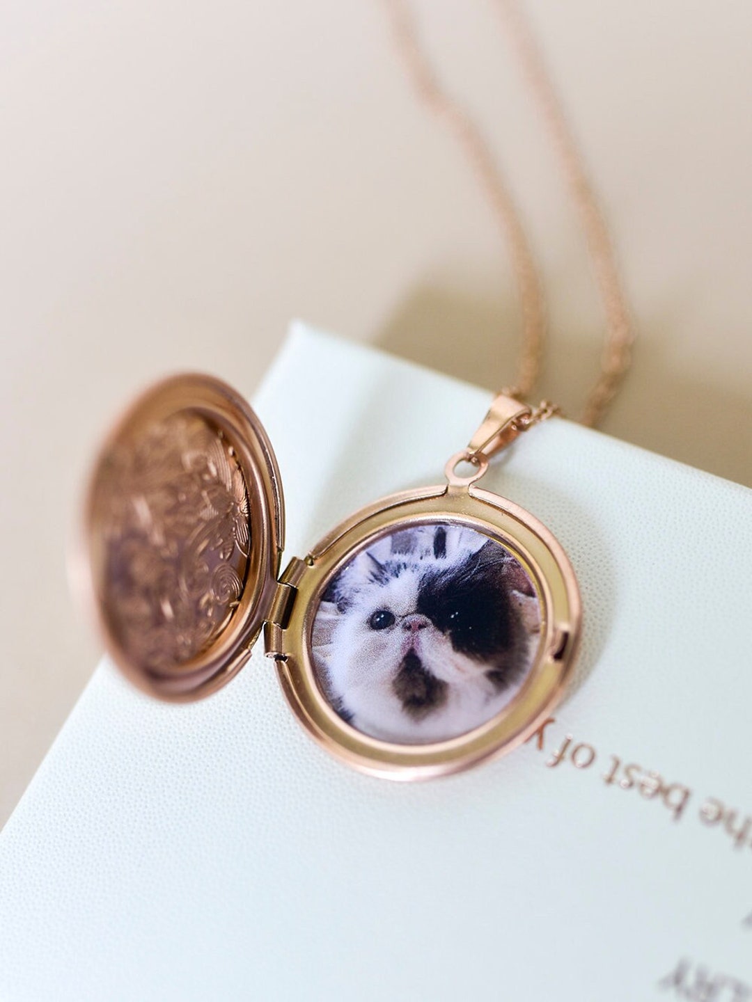 Pet Locket Necklace - Custom Pet Photo Locket - Locket Necklaces With ...
