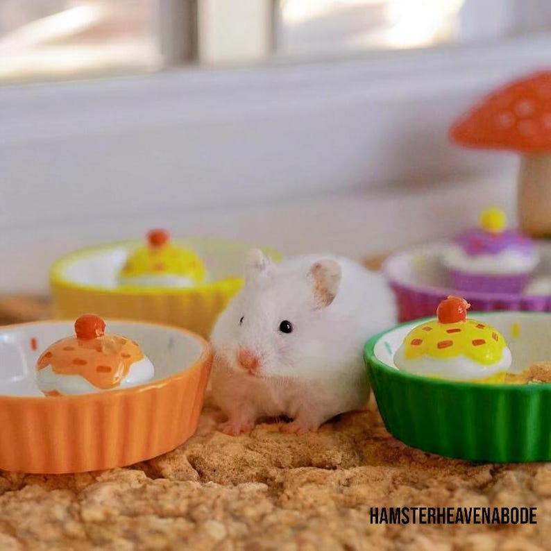 Colorful Cupcake Hamster Feeder, Pet Drinker, Small Animal Food Dish ...