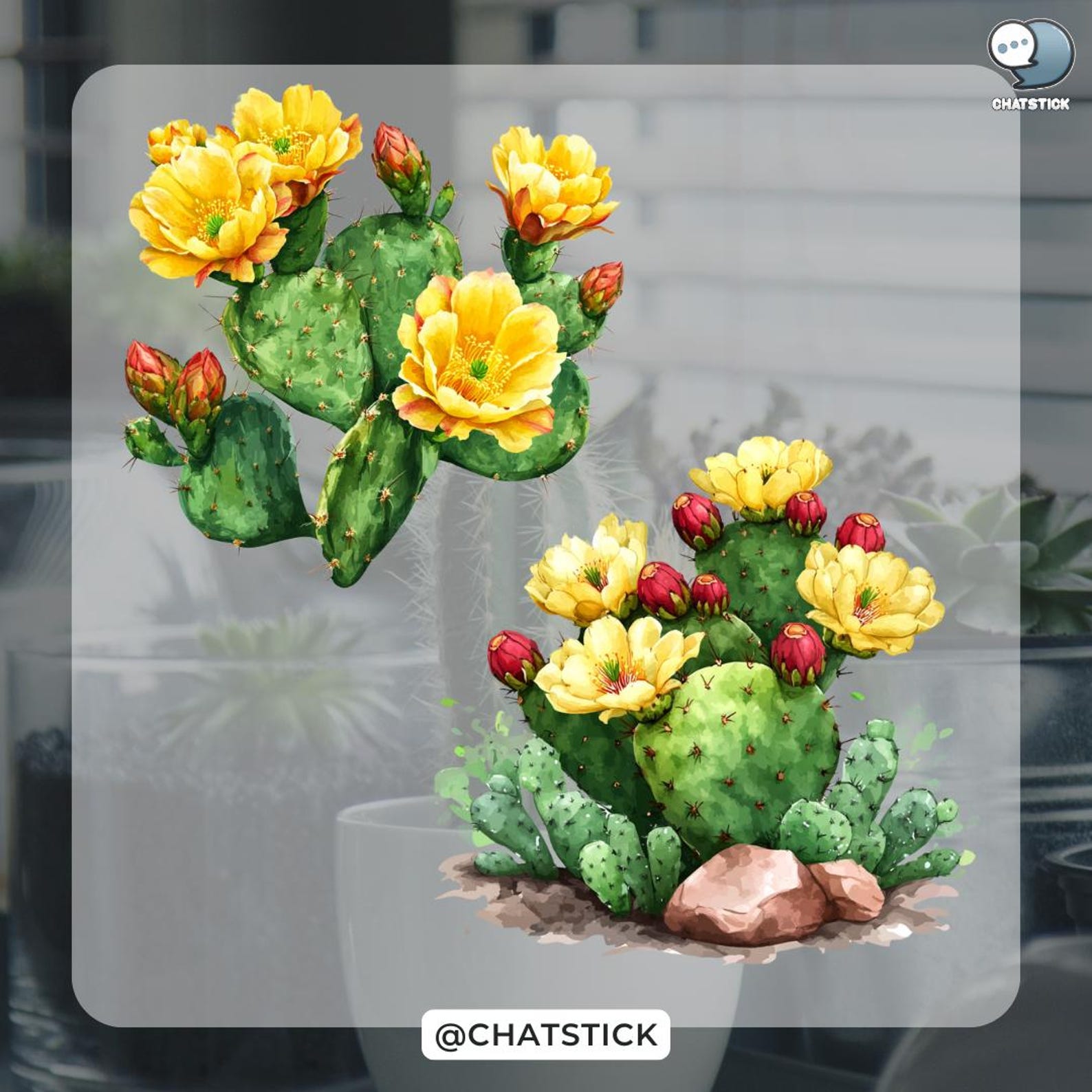 Cactus Clipart Bundle - 160 PNG Watercolor Succulent Illustrations ...