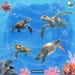 Underwater World 3D Clipart Pack - 150 Ocean-themed Pngs With Fish ...