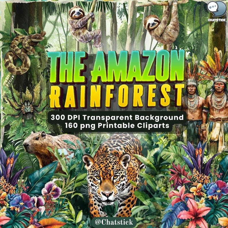 Amazon Rainforest Clipart Bundle - 160 PNG Watercolor Jungle Animals ...