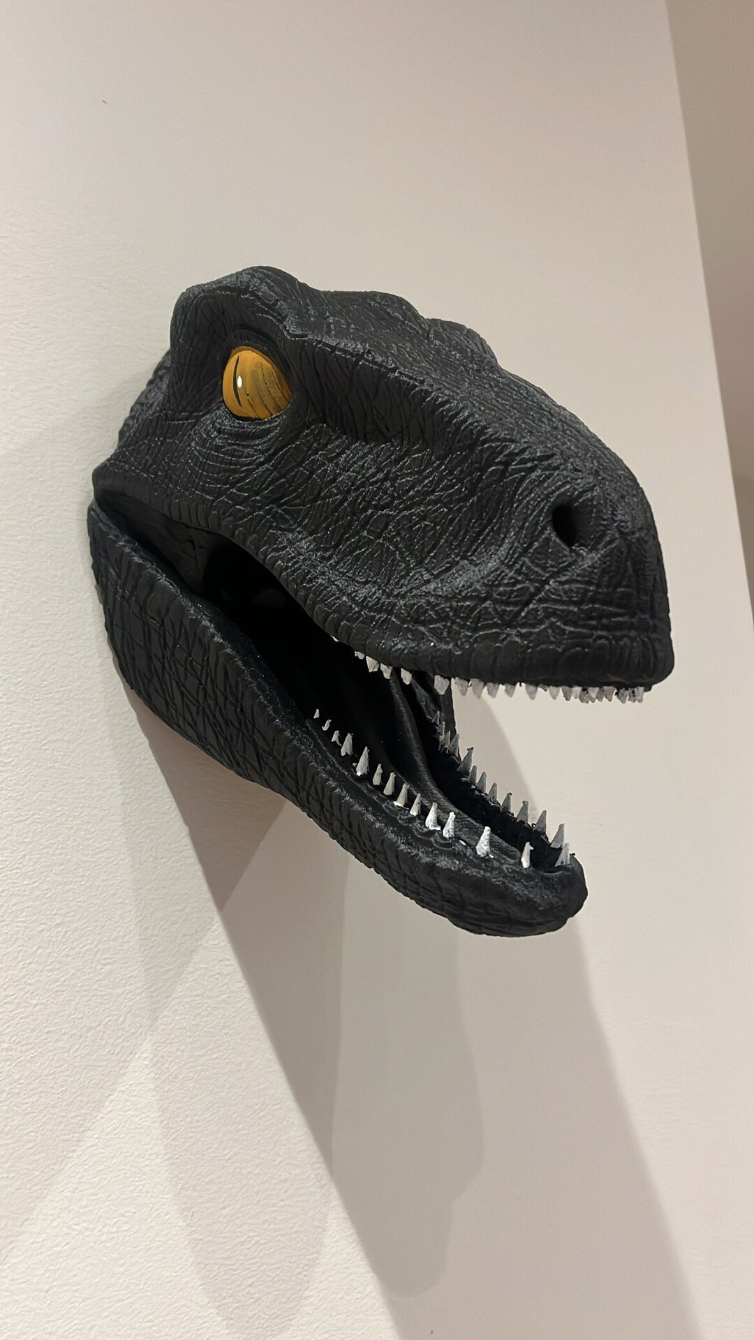 Black Raptor Wall Decor - Etsy