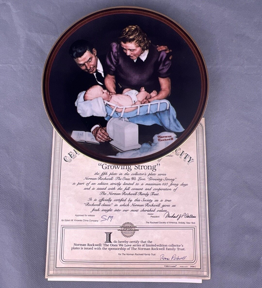 Norman Rockwell Plate Growing Strong 1989 Knowles the Ones We Love COA ...