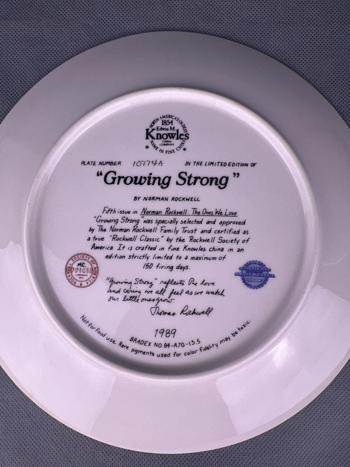 Norman Rockwell Plate Growing Strong 1989 Knowles the Ones We Love COA ...