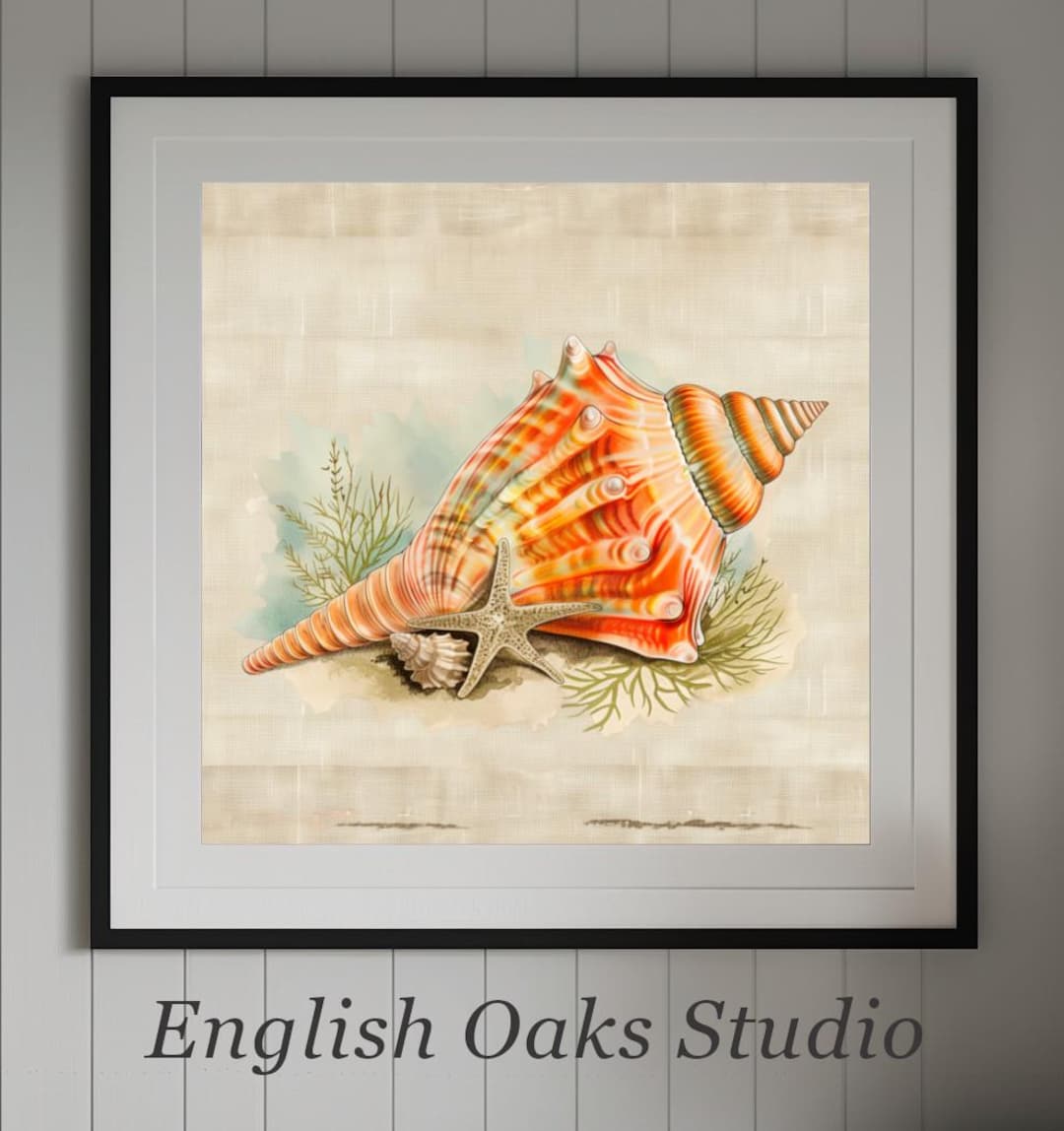 Vintage Orange Conch Shell Print | Minimalist Shell, Starfish Painting ...
