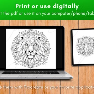 Lion Mandala Coloring Book: 30 Grayscale Coloring Pages for Kids and ...