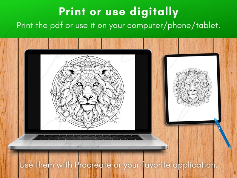 Lion Mandala Coloring Book: 30 Grayscale Coloring Pages for Kids and ...