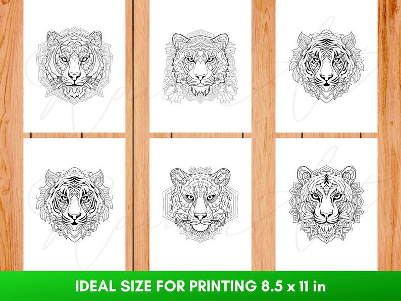 Tiger Mandala Coloring Book, 30 Coloring Pages Fo Kids and Adults ...