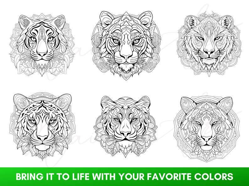 Tiger Mandala Coloring Book, 30 Coloring Pages Fo Kids and Adults ...