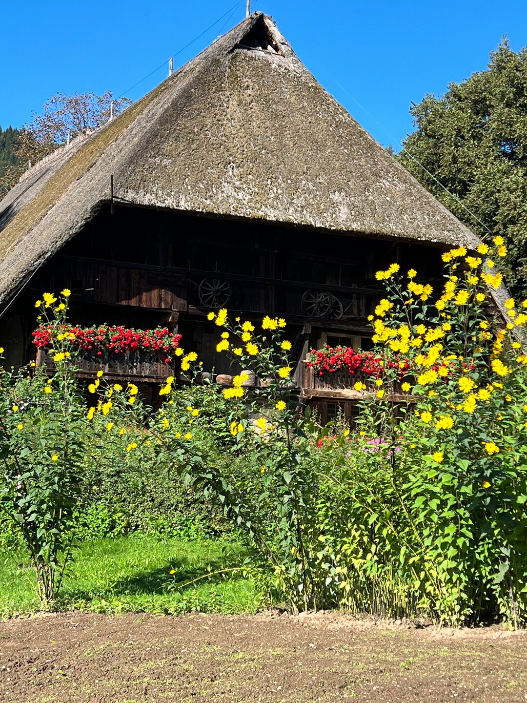 Photo Thatched Haven, House in a Germany Village in the Black Forest ...