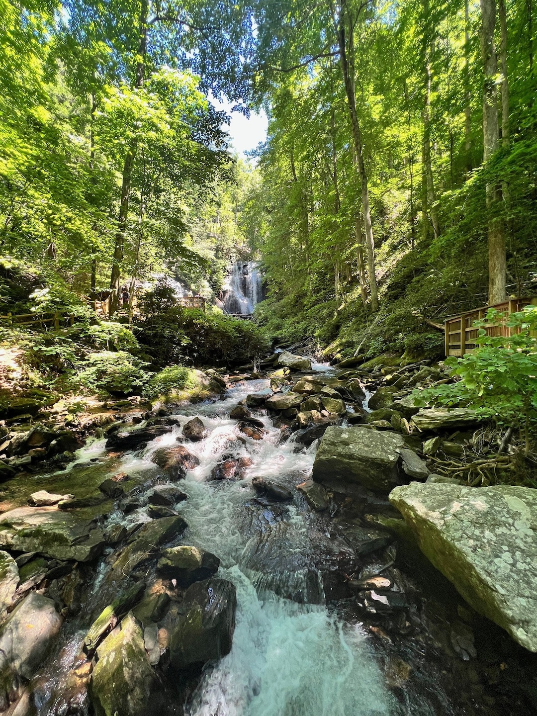 Forest Waterfall, Ana Ruby Falls, Georgia Mountains, Flowing River ...