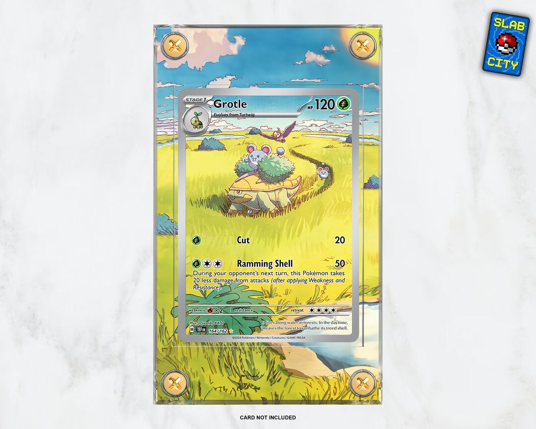 Grotle #164 IR Temporal Forces - Extended Artwork Pokémon Card Display ...