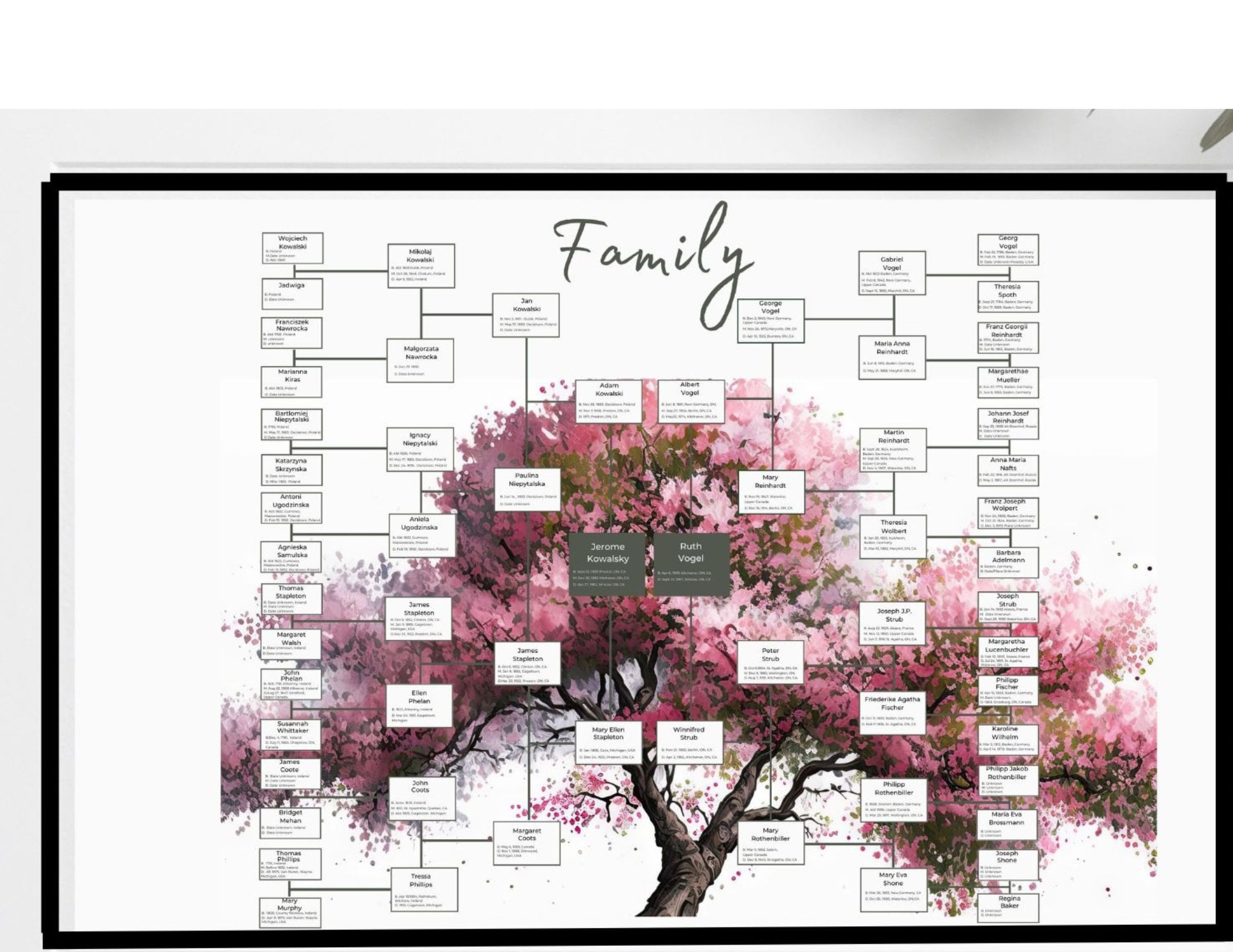 Modern Five Generation Family Tree - Etsy
