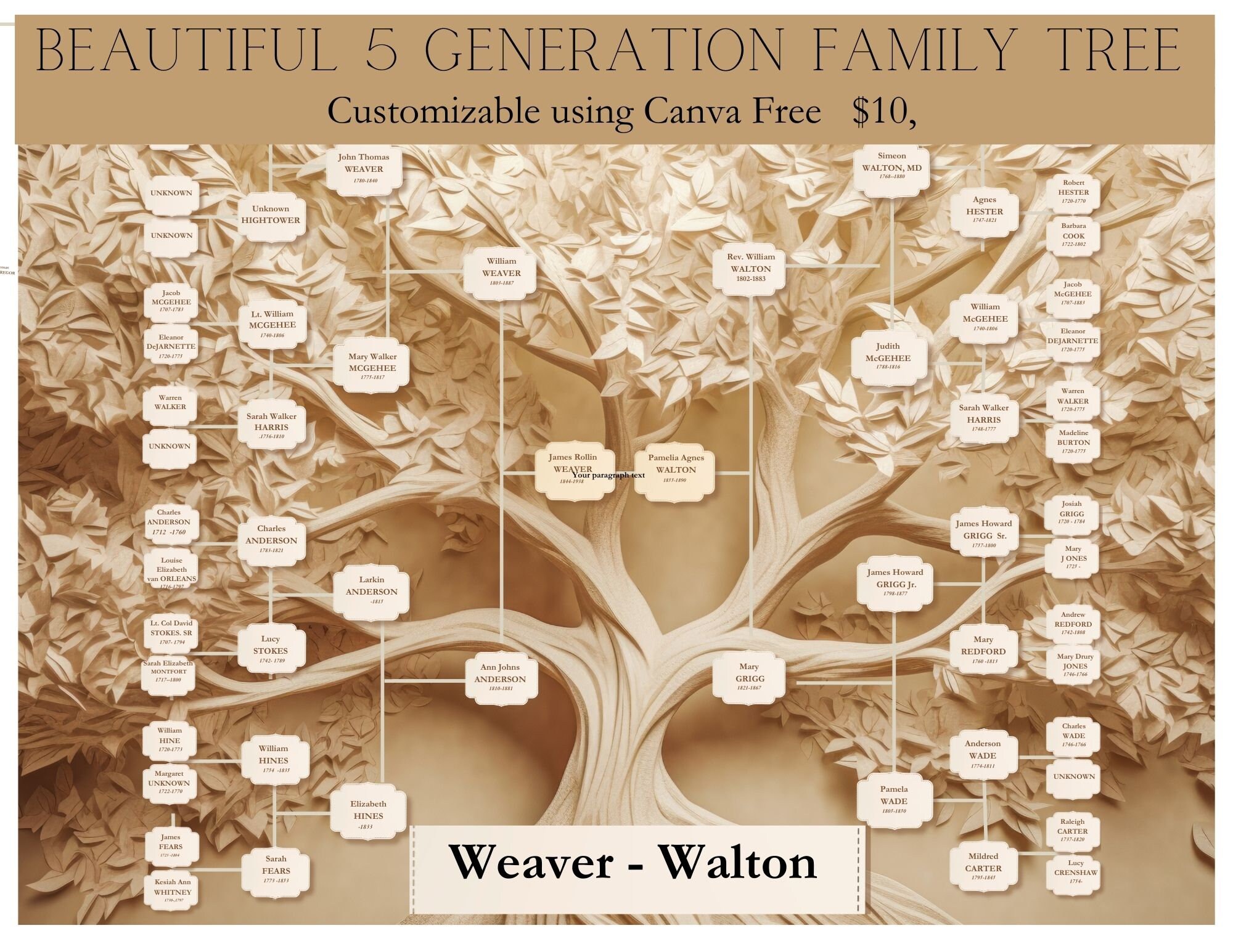 Beautiful 5 Generation Family Tree - Etsy
