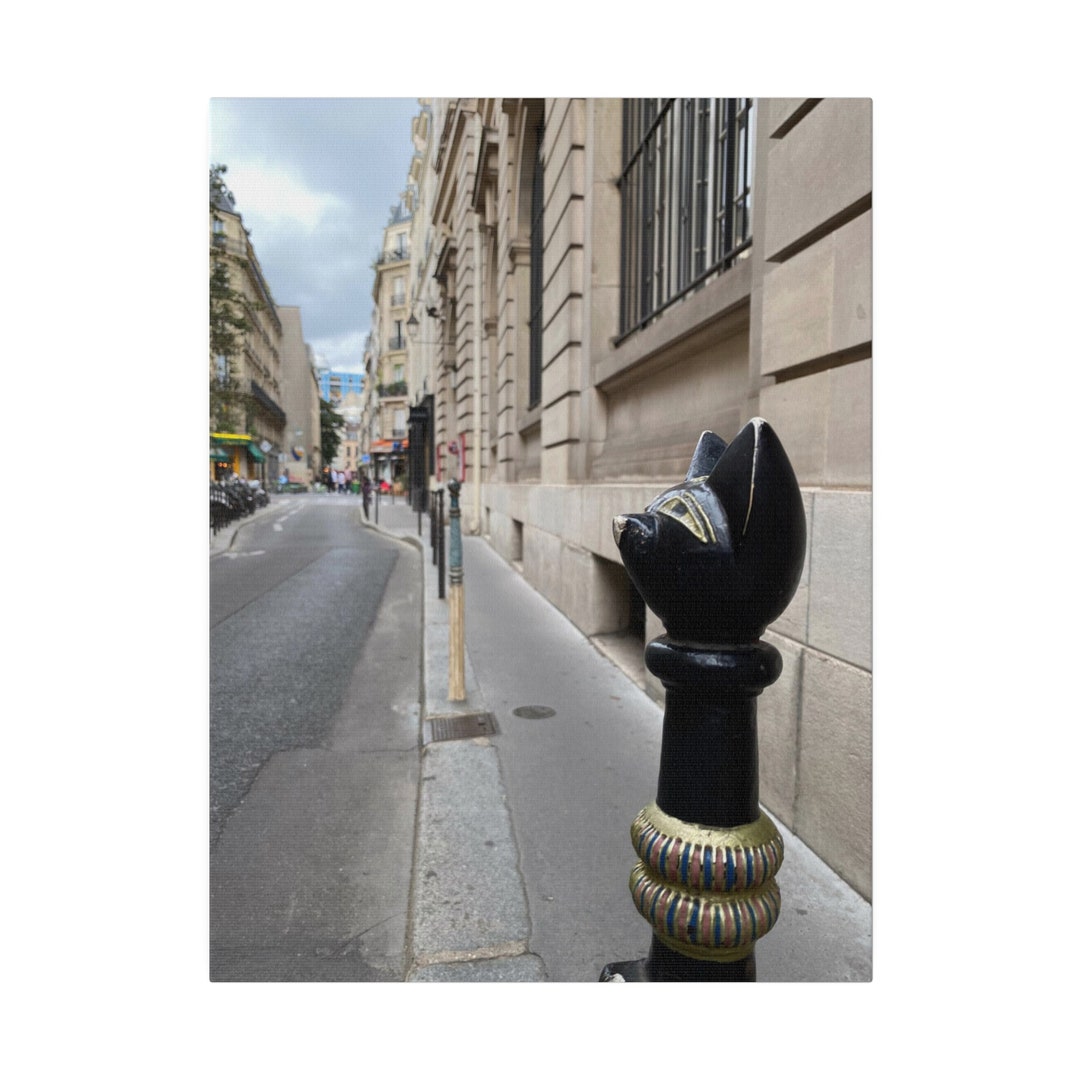 Matte Canvas, Stretched, 0.75" - Black Cat Bollard - Etsy