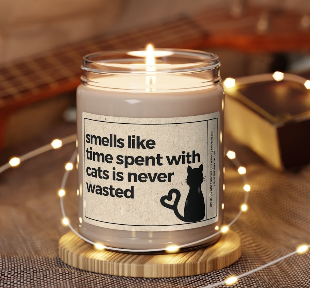 Cat Humor Candle Smells Like Funny Cat Candle Crazy Cat Lady - Etsy