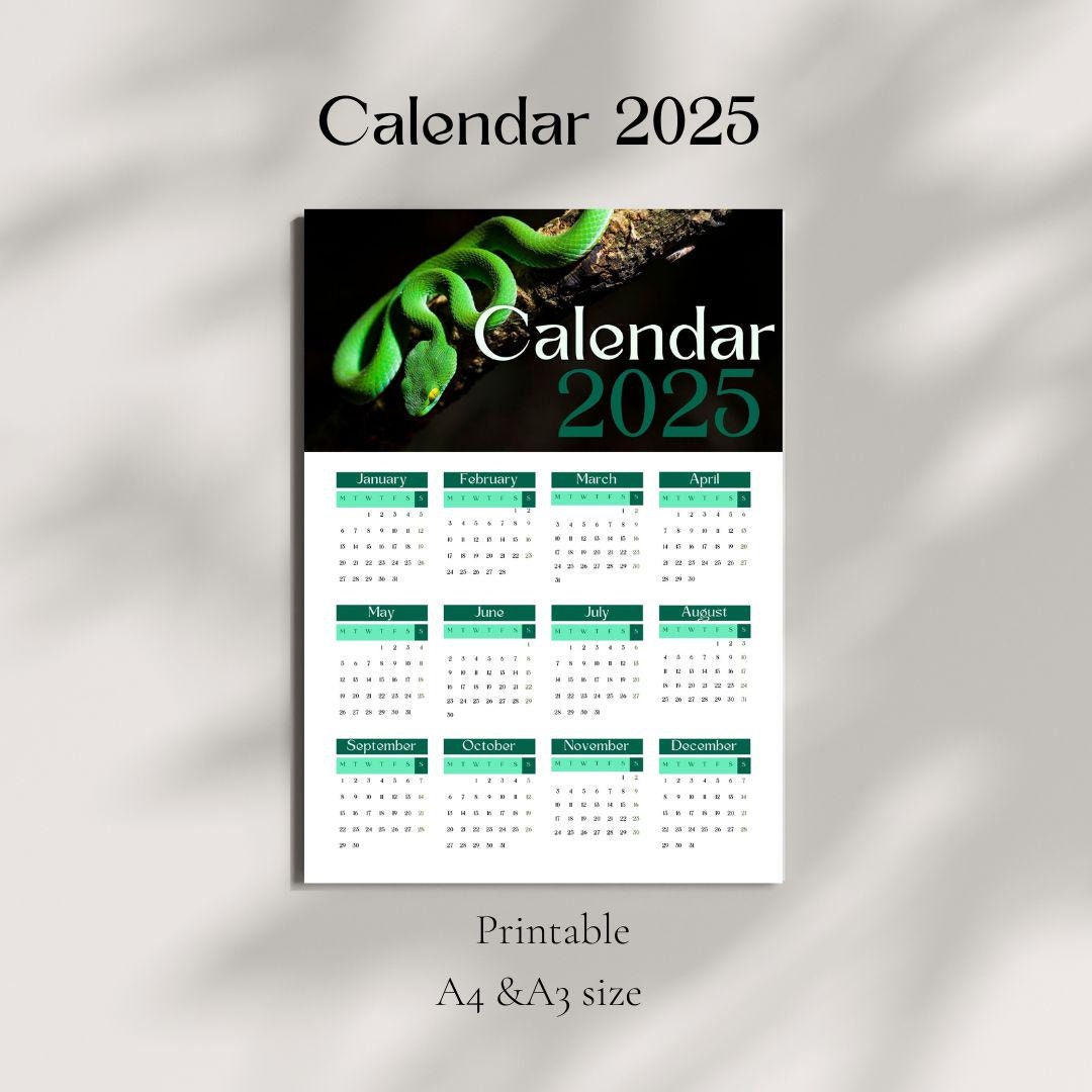 2025 Snake Design Printable PDF Wall Calendar, A3 A4 Size, Sunday Start ...