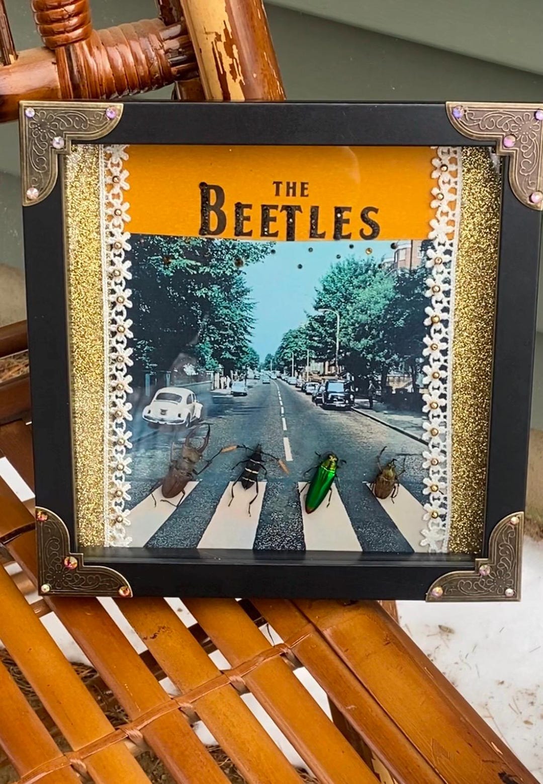 The Beetles ABBEY ROAD Genuine Insect Specimen Wall Art Funny Decor ...