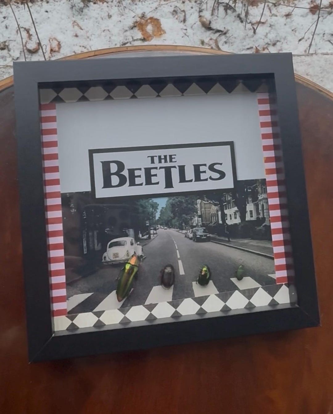 Beetles Abby Road Shadowbox – Insect Band Oddity Art - Etsy
