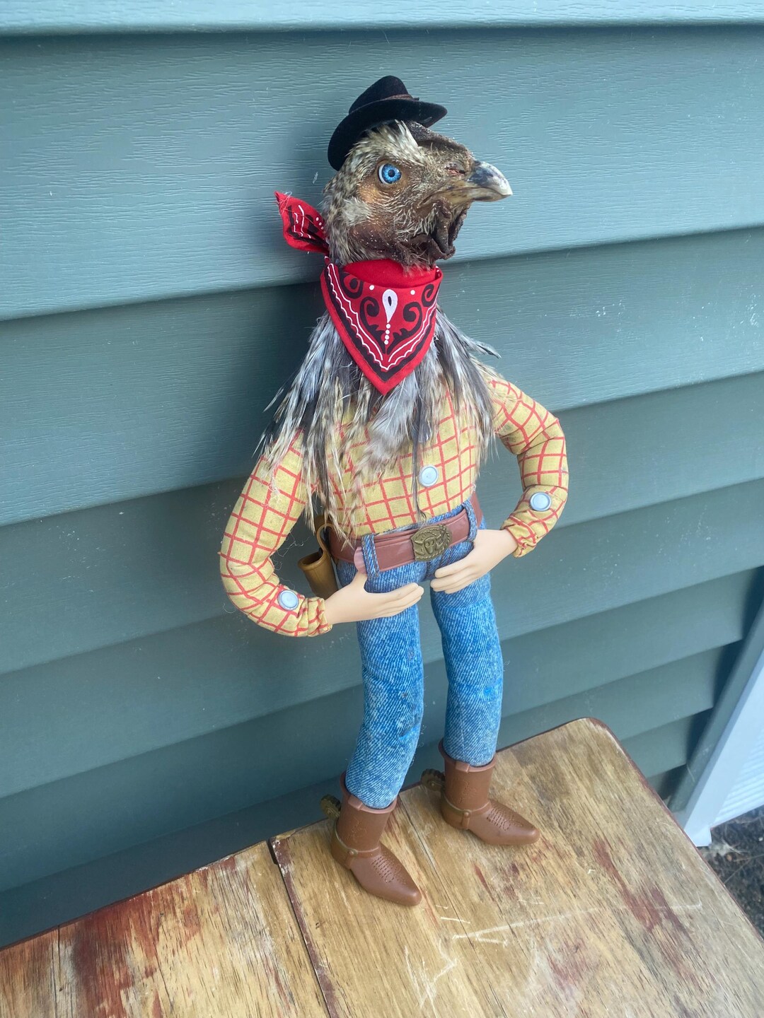 Genuine Mummified Taxidermy - Rooster - Chicken - Cowboy Doll - Toy ...
