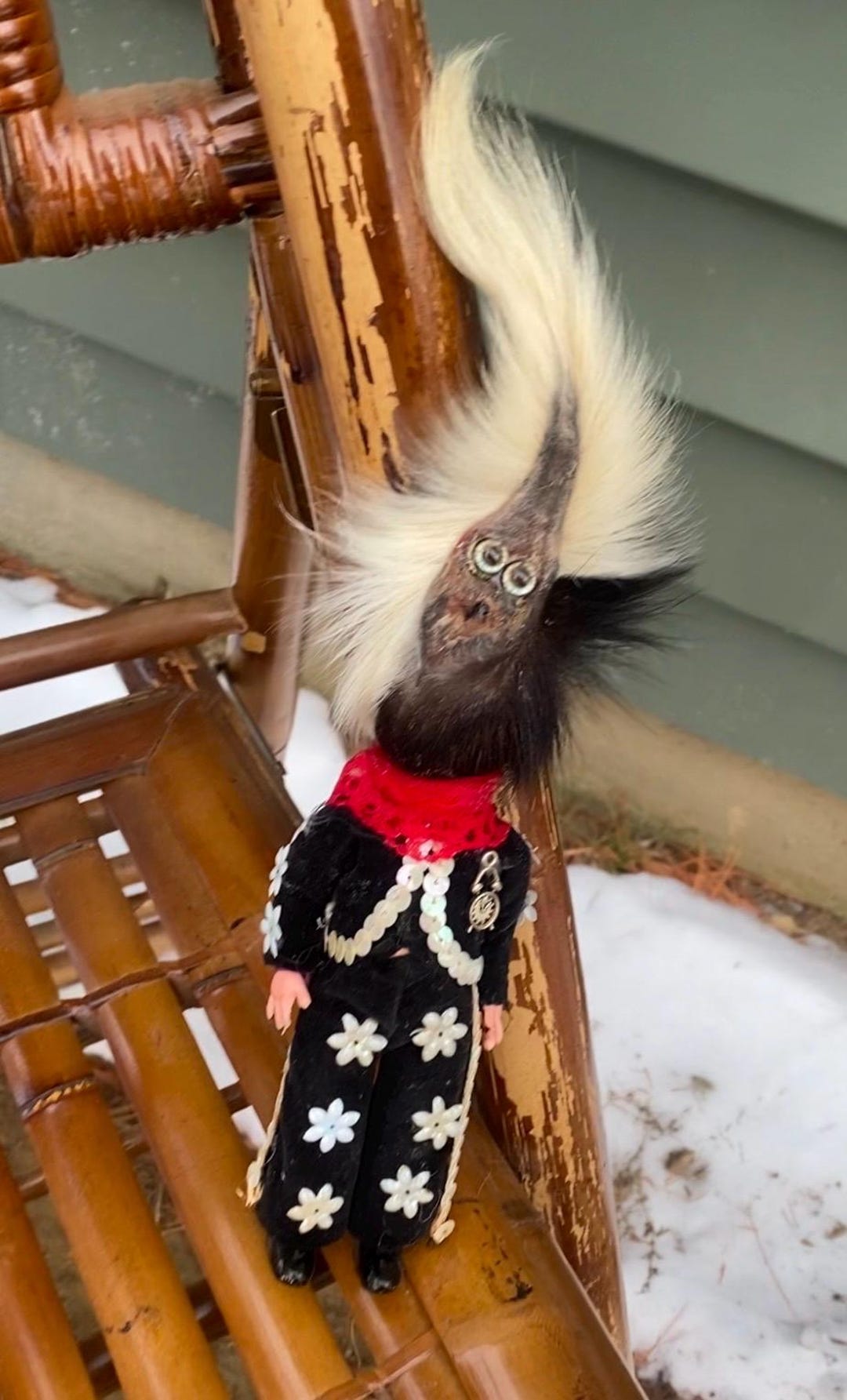 Bad Taxidermy Oddity - Assquatch! Mummified Taxidermy - Goat - Doll ...