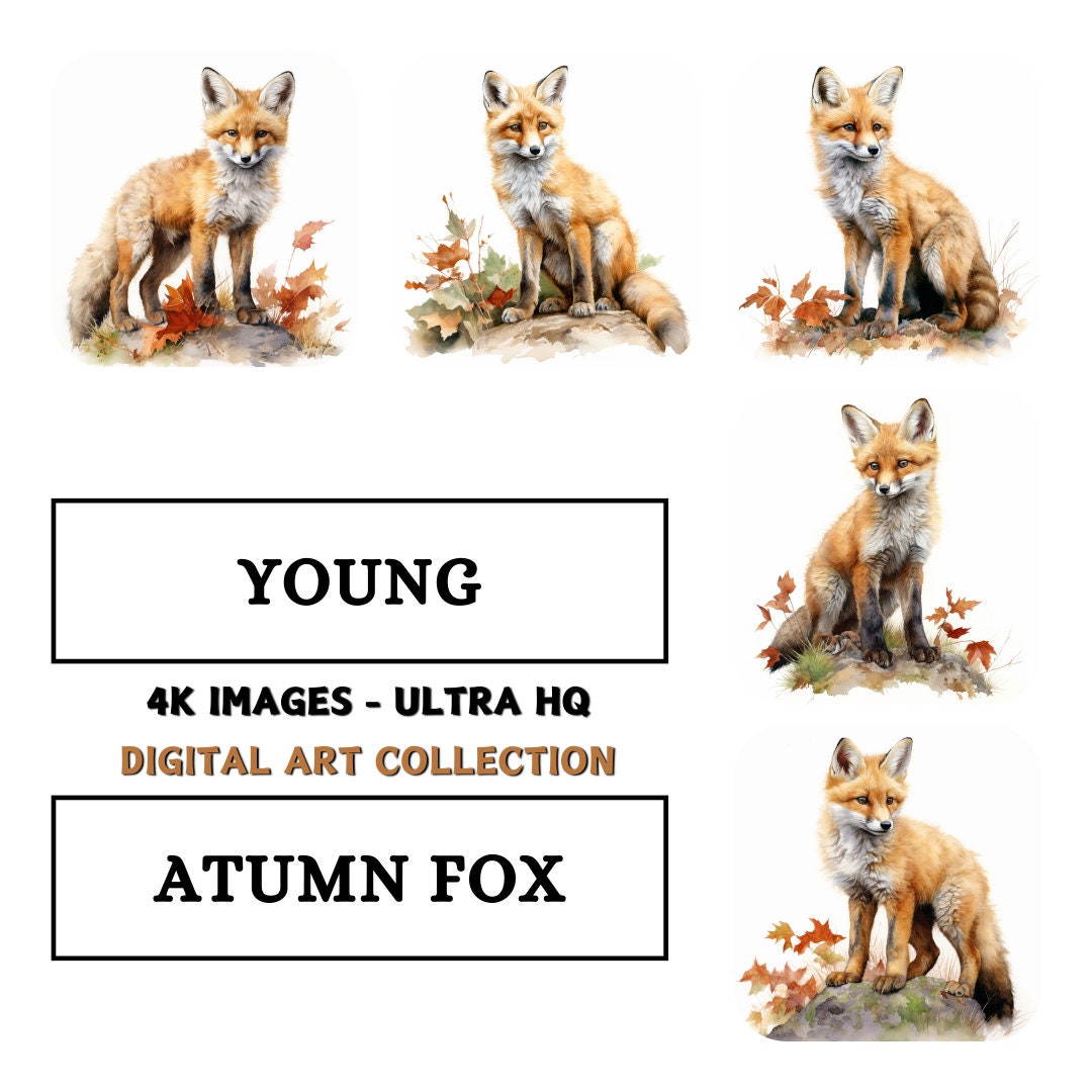 Young Autumn Fox Clipart Bundle 5 High-resolution, 4K Watercolor PNG ...