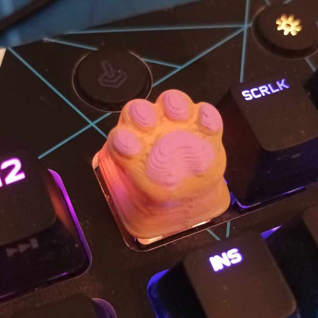 Paw Keycap, Custom Keycap, Artisan Keycap, Custom Artisan for ...