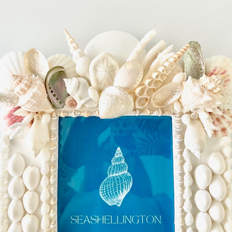 Coral Picture Frame - Etsy