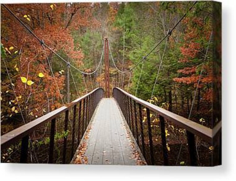 Bridge, Digital Download, Autumn Scenery, Autumn Pictures, Autumn, Fall ...