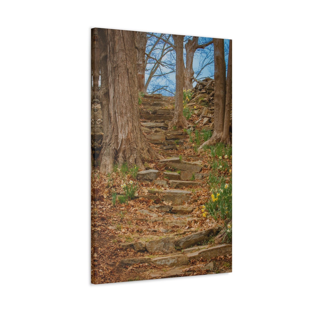 Fall Nature Walk Scene on Canvas, Canvas Wall Decor, Home and Office ...
