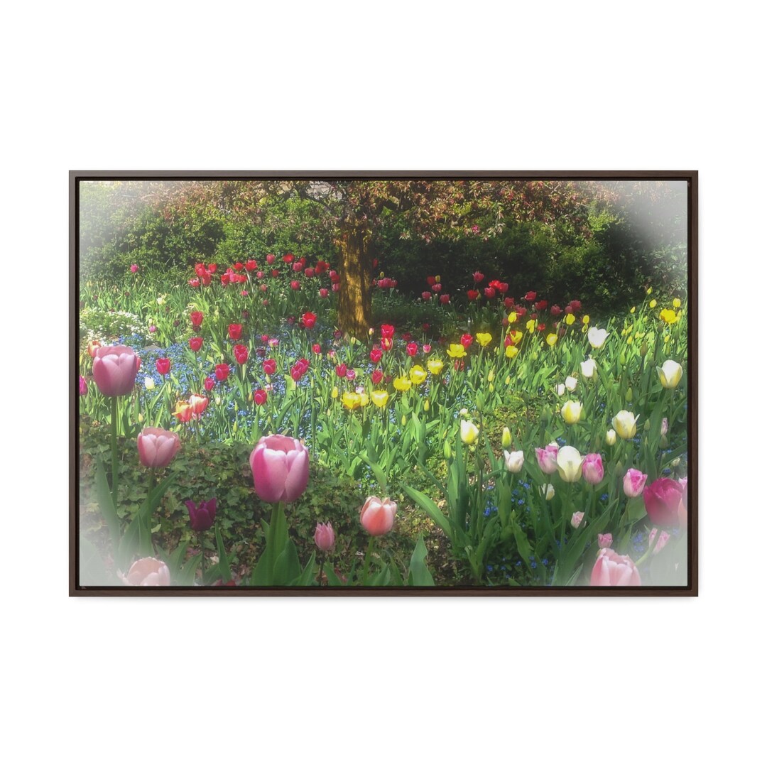 Framed Tulips for Office, Tulips, Flowers, Spring Flowers, Tulips on Canvas, Wall Art, Flower ...