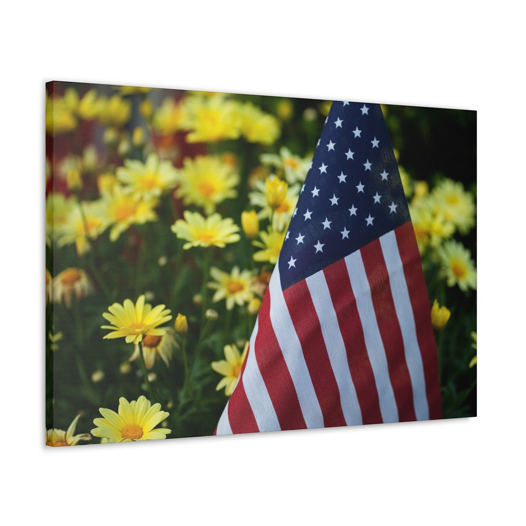 Canvas American Flag and Daisy, American Flag, Daisies, Flag With ...