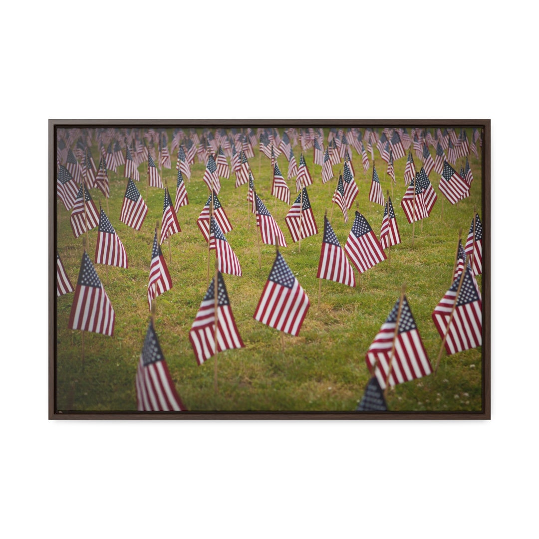 Framed American Flags, Flag Pictures, Wall Decor, Home and Office, Wall ...