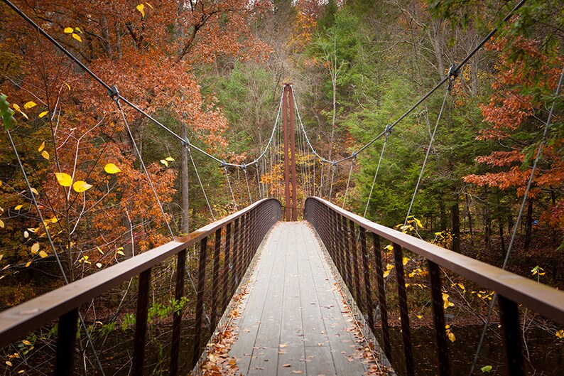 Bridge, Digital Download, Autumn Scenery, Autumn Pictures, Autumn, Fall ...