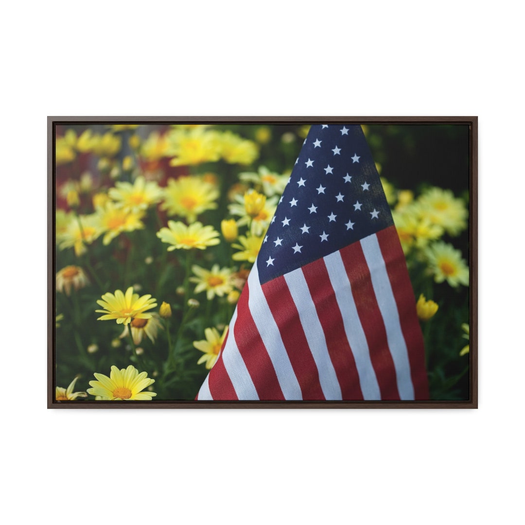 Framed Flag and Daisy, American Flag, Daisies, Flag With Daisies, Wall ...