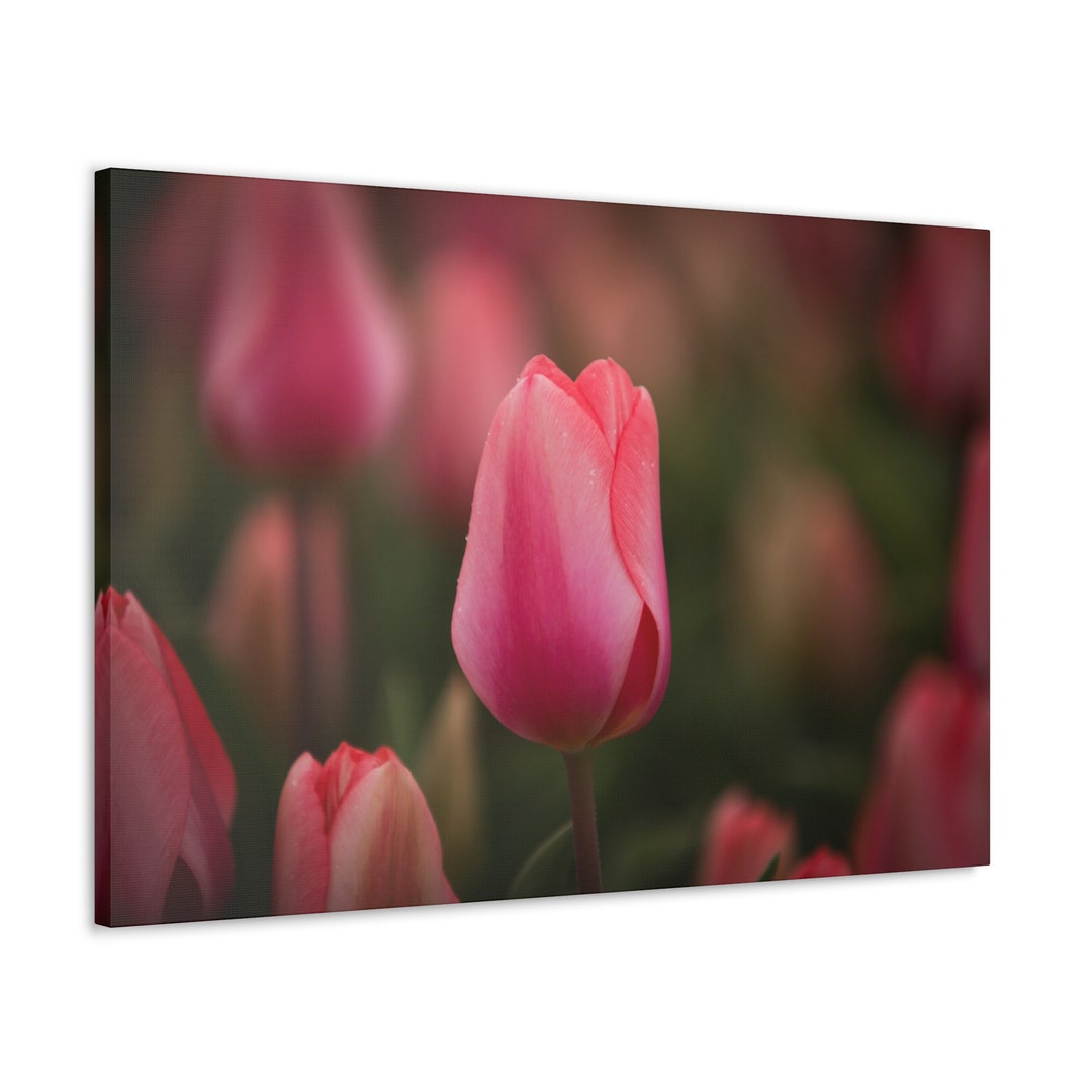 Spring Tulip Canvas Wall Art for Home and Office - Etsy