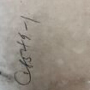 Rare and One of a Kind! Charles David Williams Original Sketch Used for ...