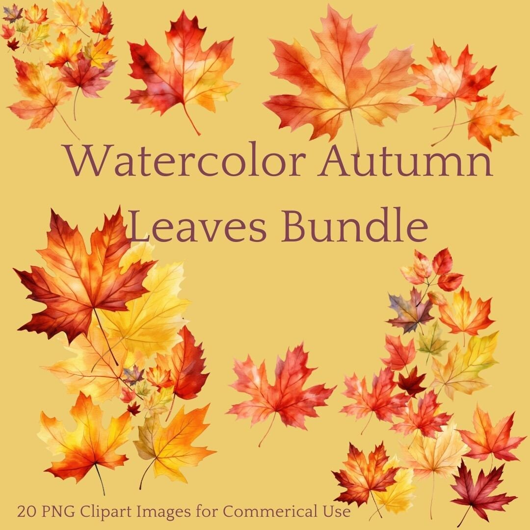 Autumn Leaves PNG Bundle - Etsy