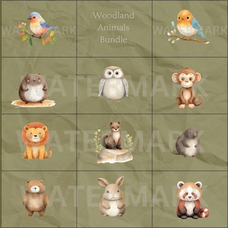Woodland Animals PNG Bundle - Etsy