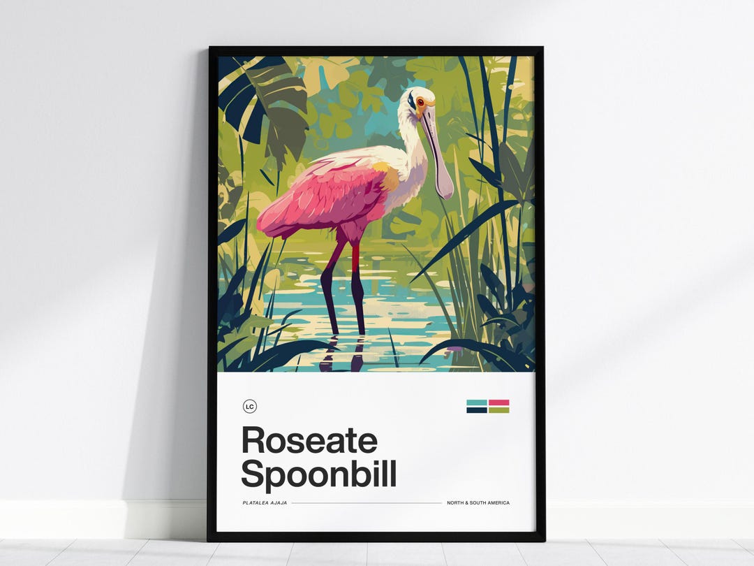 Roseate Spoonbill Art Print: Modern Bird Illustration, Tropical Wall ...