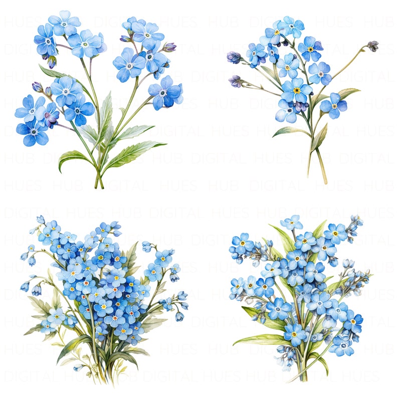 18 Forget Me Not Flower Clipart Bundle Watercolor Forget Me Not ...