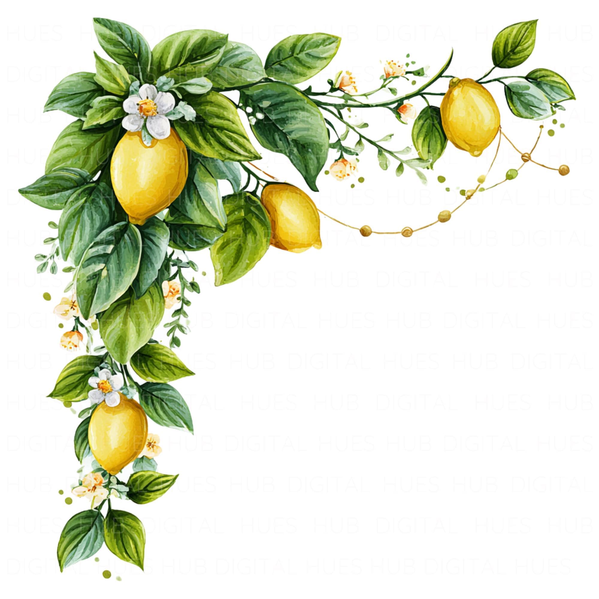 17 Lemon Border Clipart Watercolor Mediterranean Decor Lemon Garland ...