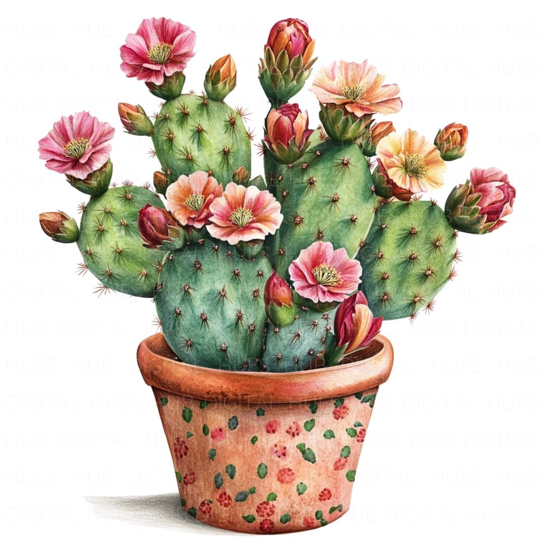 18 Cactus in Pot Clipart Watercolor Blooming Cactus Plant Succulent ...