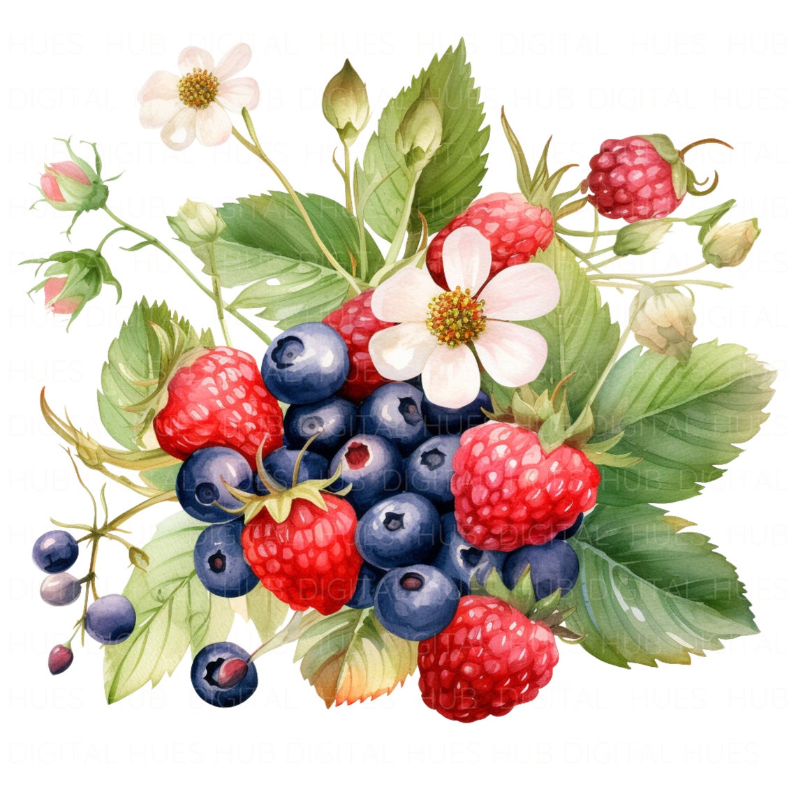 10 Summer Berries Clipart Bundle Watercolor Wild Berries Fruits Clipart ...