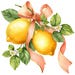 12 Summer Lemon Clipart Watercolor Lemon Ribbon Bow Citrus Fruit Yellow ...